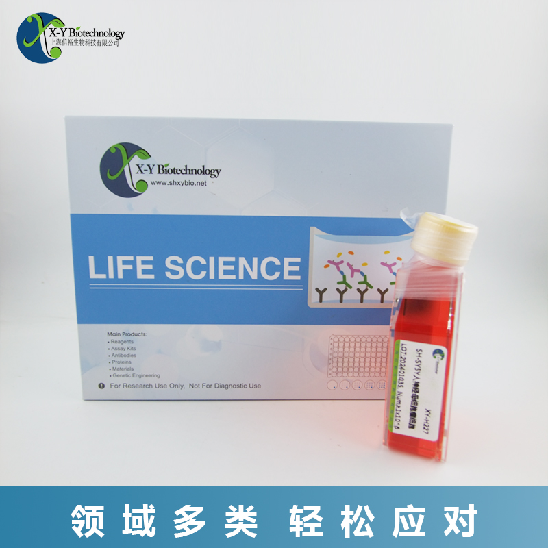 SH-SY5Y人神经母细胞瘤细胞（STR鉴定） XY-H227 - 上海信裕生物 - 信裕生物-试剂盒,ELISA试剂盒, 检测试剂盒,抗体,细胞系,原代细胞,ATCC细胞,重组蛋白,抗体 ...