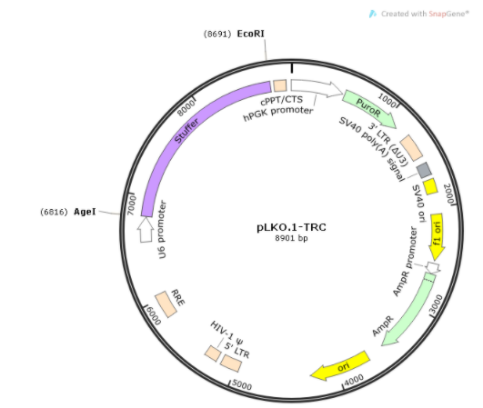 开云·kaiyun(中国)官方网站